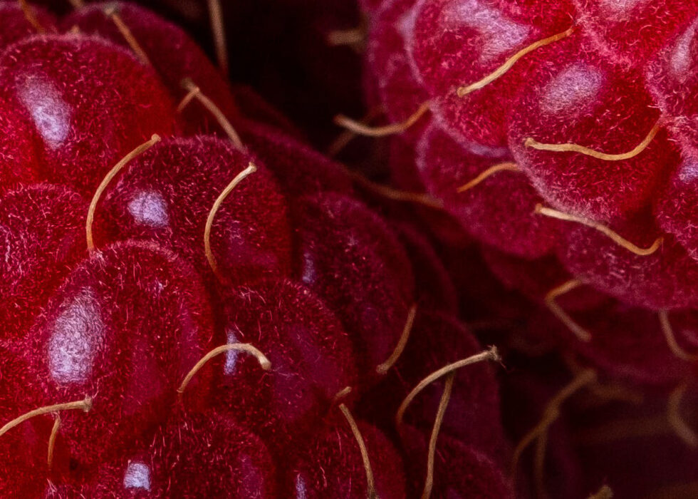 Whatzit - Cooperative Living