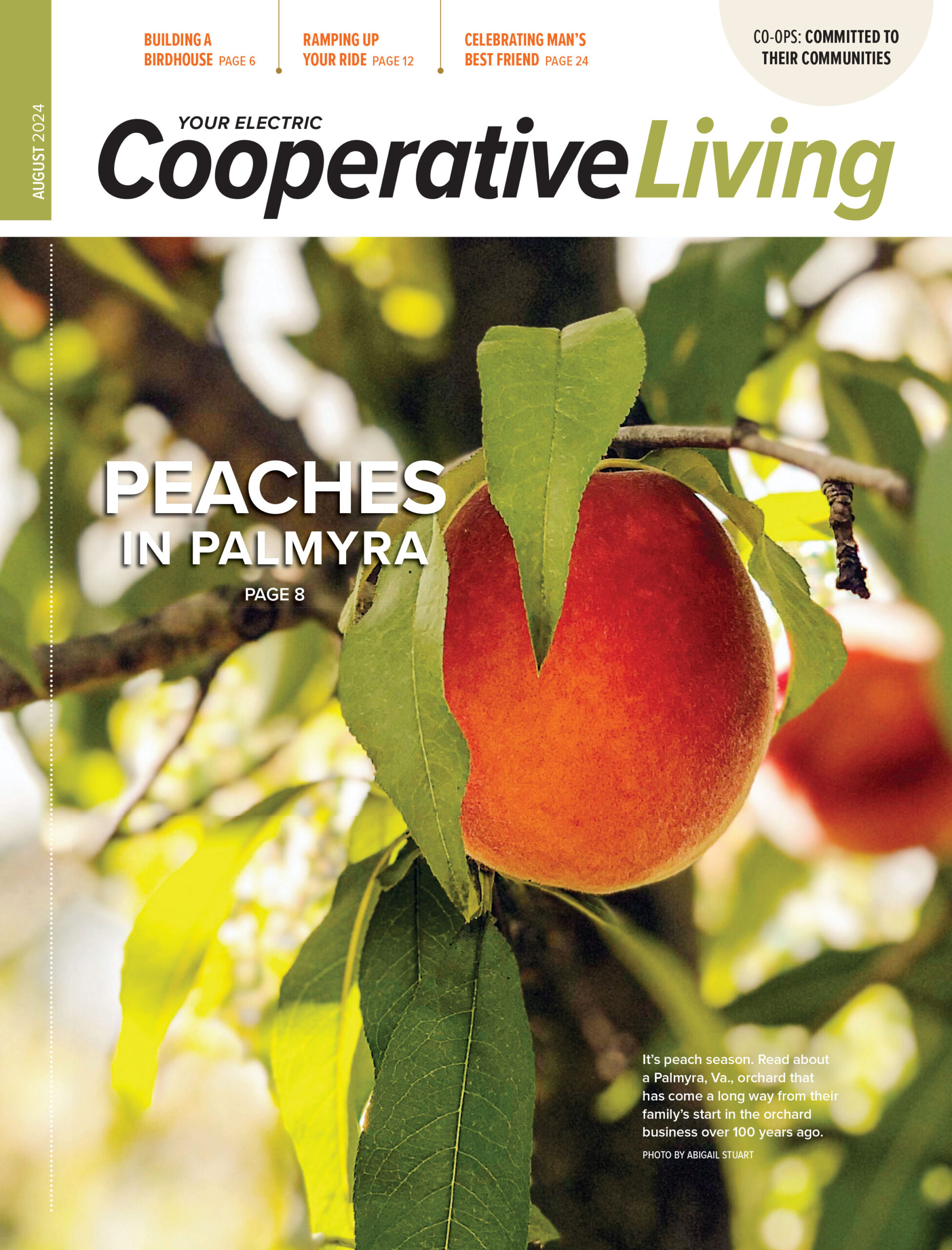 Home - Cooperative Living