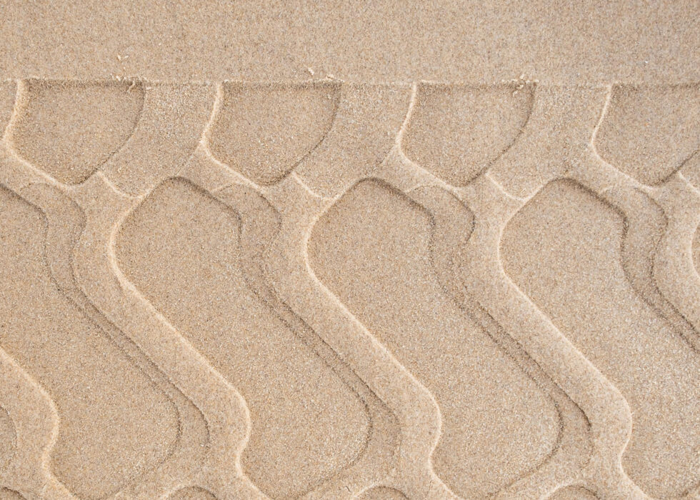 Whatzit - Cooperative Living