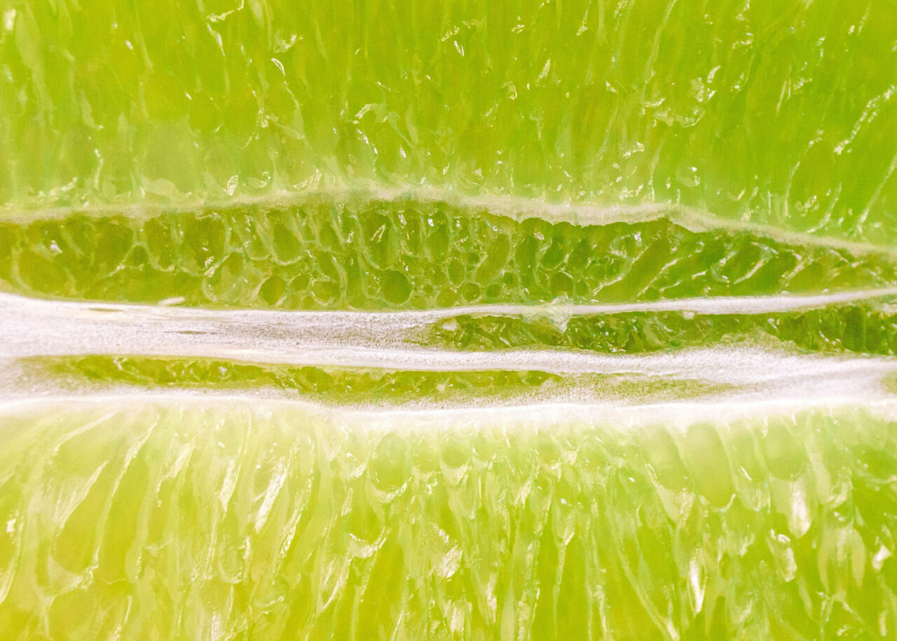 Whatzit - Cooperative Living